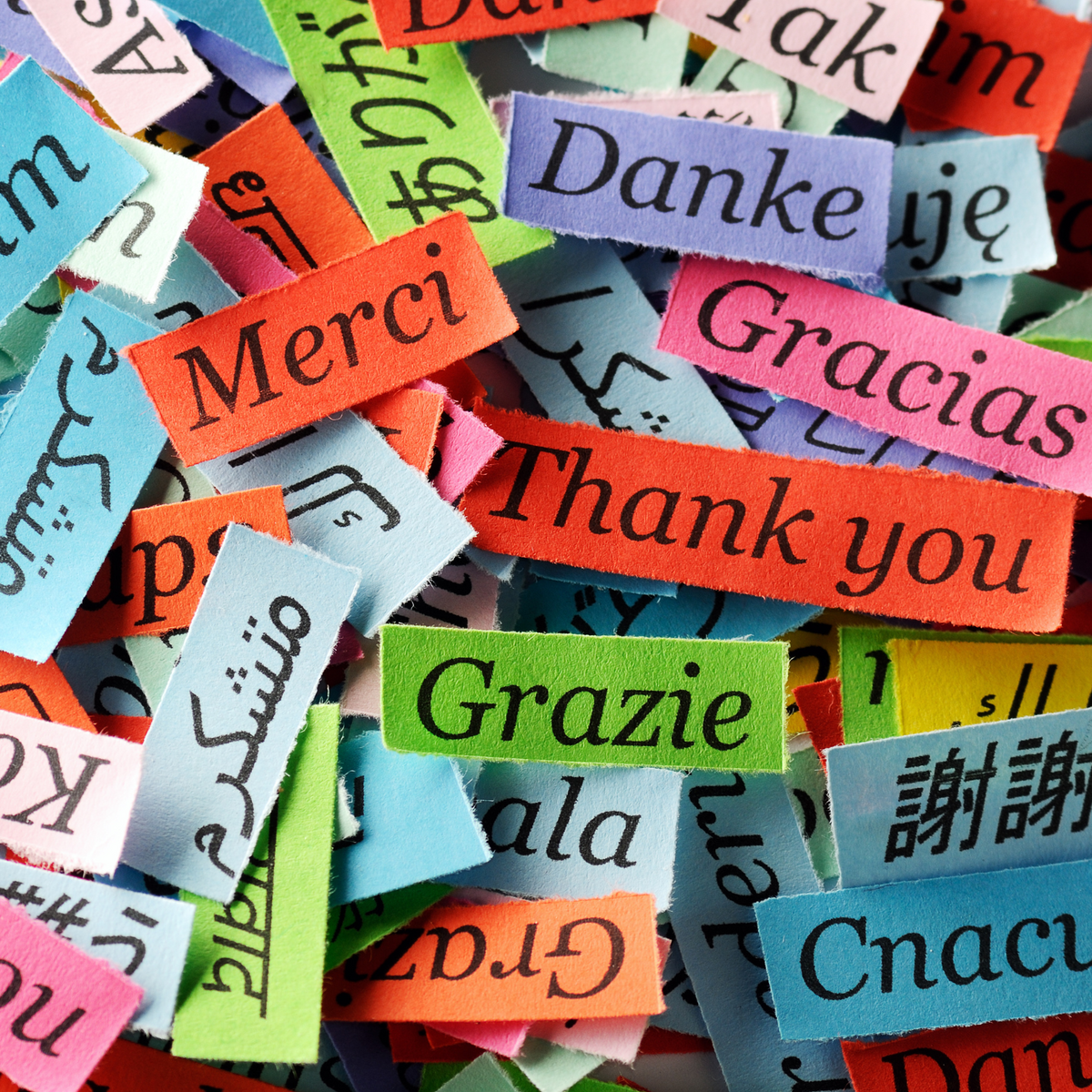 The Science of Gratitude: How Being Thankful Boosts Your Mental Health